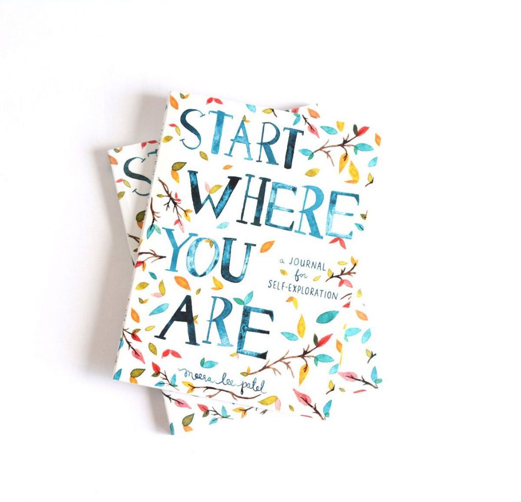 Meera Lee Patel — a Star on the Rise as a Health and Wellness Artist ...